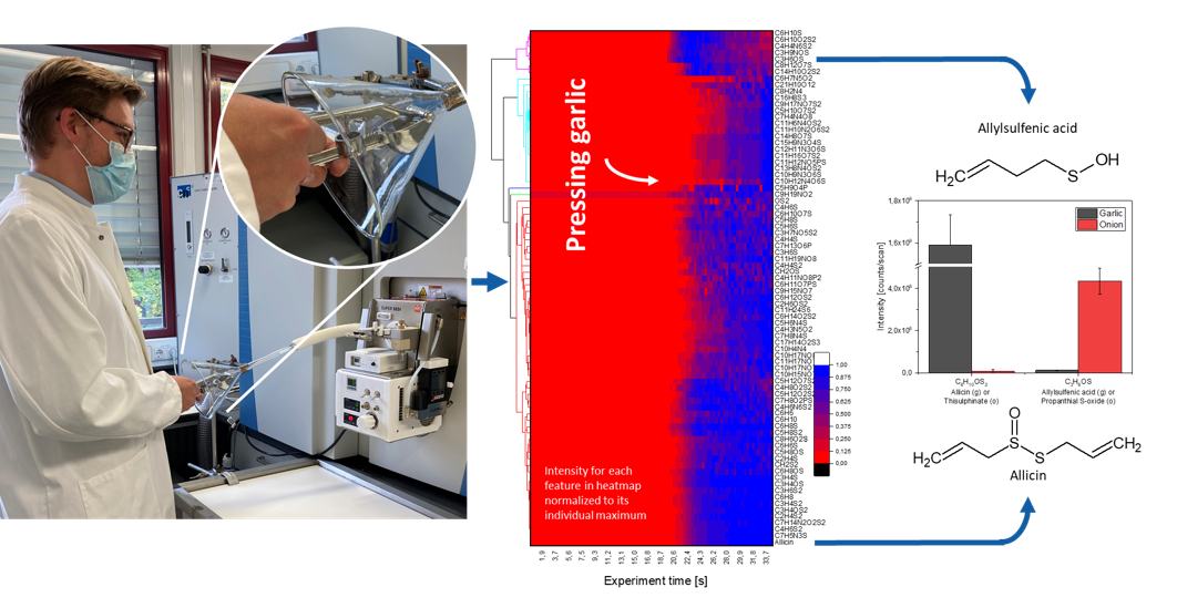 Powerful new analytical technique makes the smell of garlic and other ...